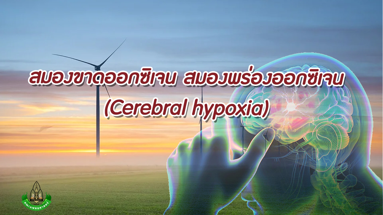 สมองขาดออกซิเจน สมองพร่องออกซิเจน (Cerebral hypoxia) | โรงพยาบาลศรี ...
